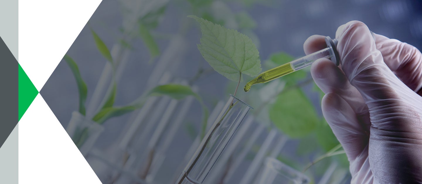 L.E.K. Consulting | Strategy Consulting Firm