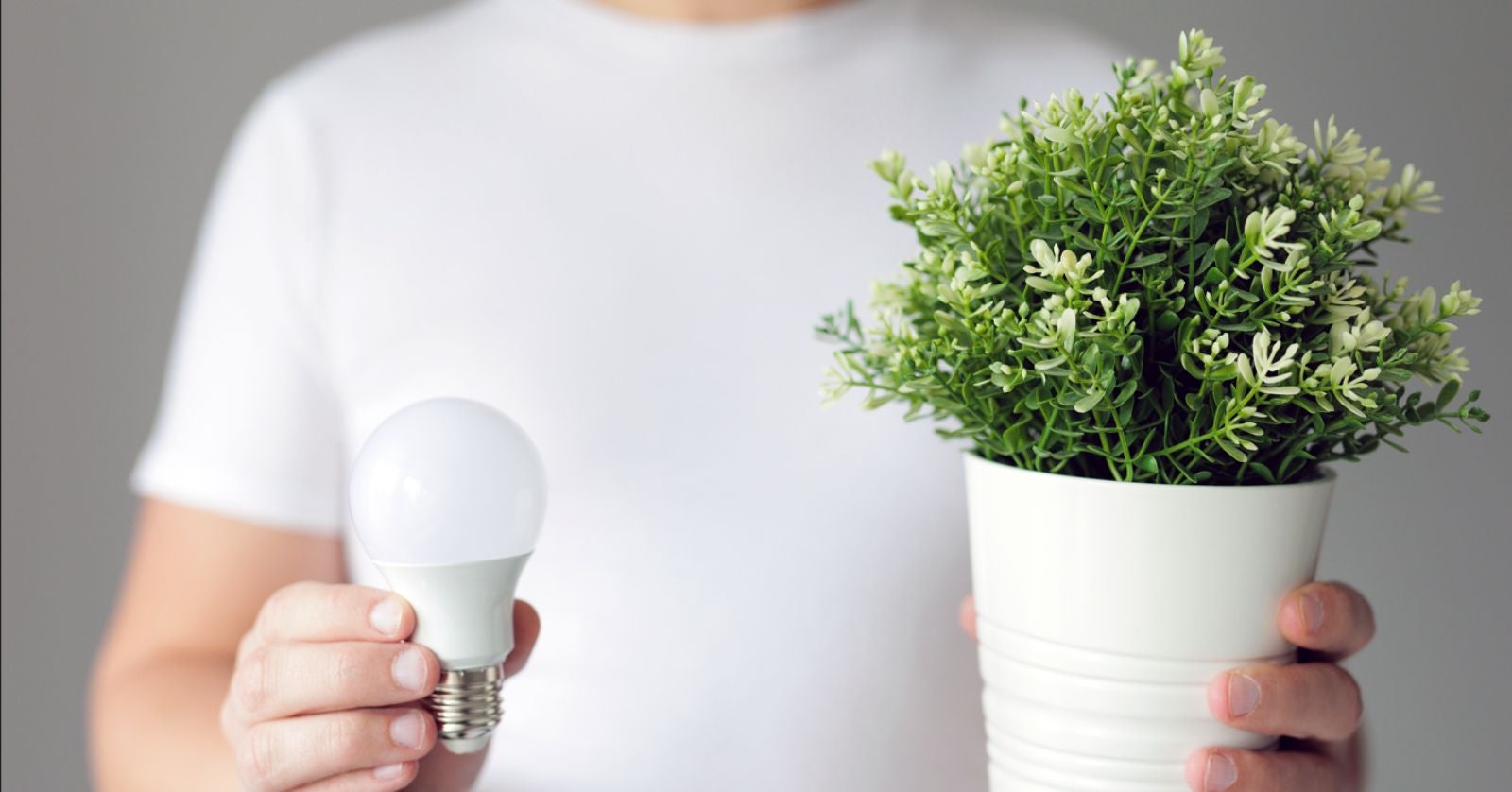 Disrupting the Market: Paths to Success in Sustainable Product Launch ...