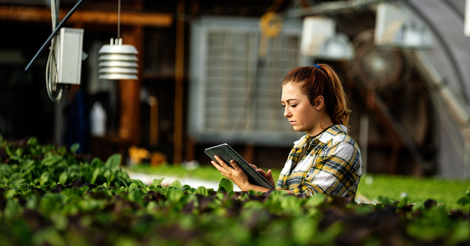 Food Security Strategies: How To Adapt to a Changing World | L.E.K ...