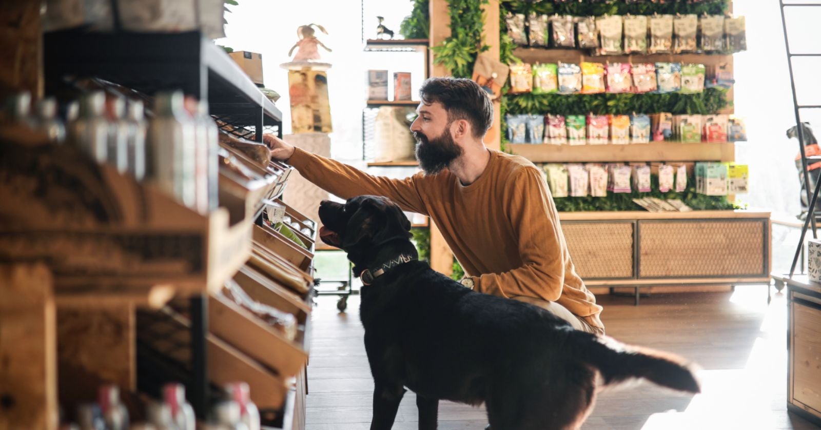 Diagnosing Consumer Switching Dynamics in Pet Food | L.E.K. Consulting