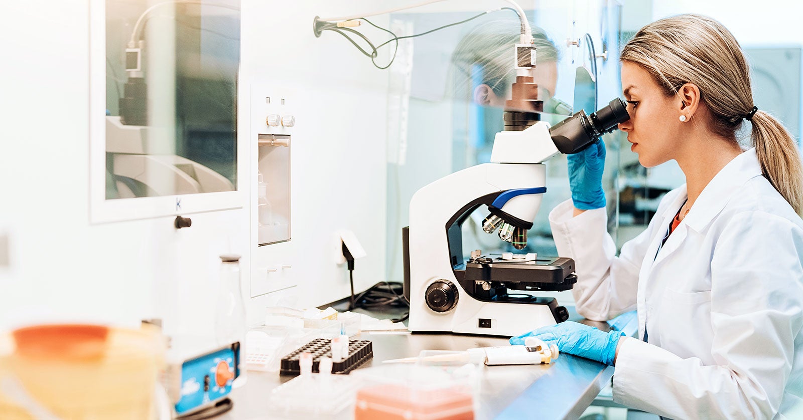 Research Tools and Diagnostics: Outlook and Industry Trends in 2024 | L ...